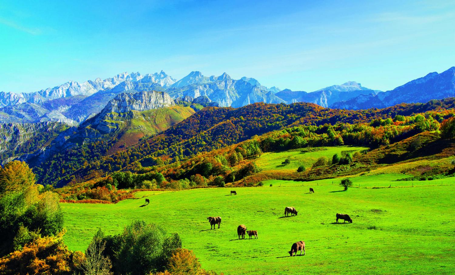 5 natural sites in Asturias that you can't miss.